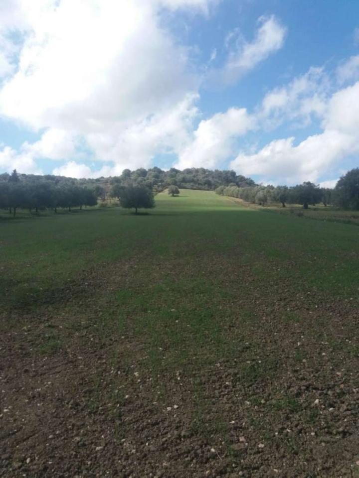 Terreno agricolo in vendita a Noto