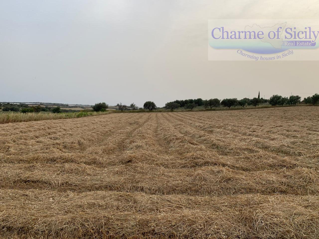 Terreno agricolo in vendita a Noto