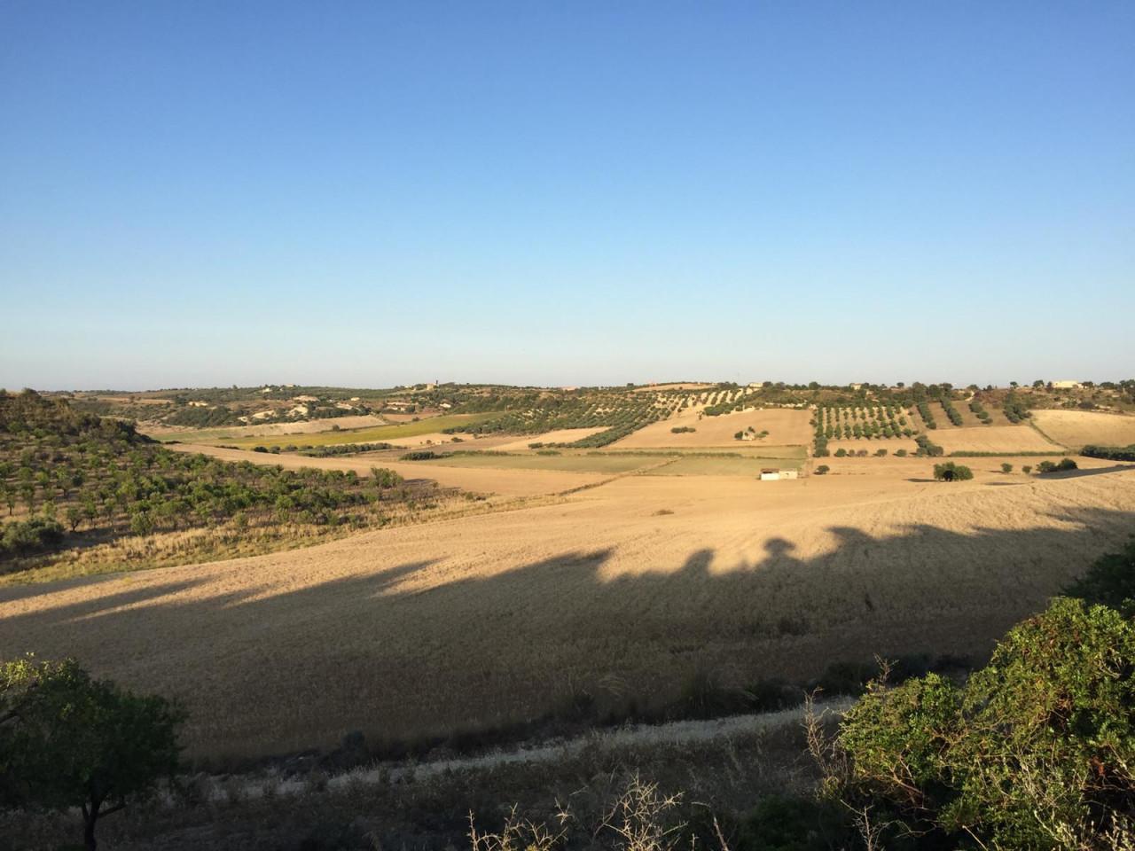 Terreno agricolo in vendita a Noto