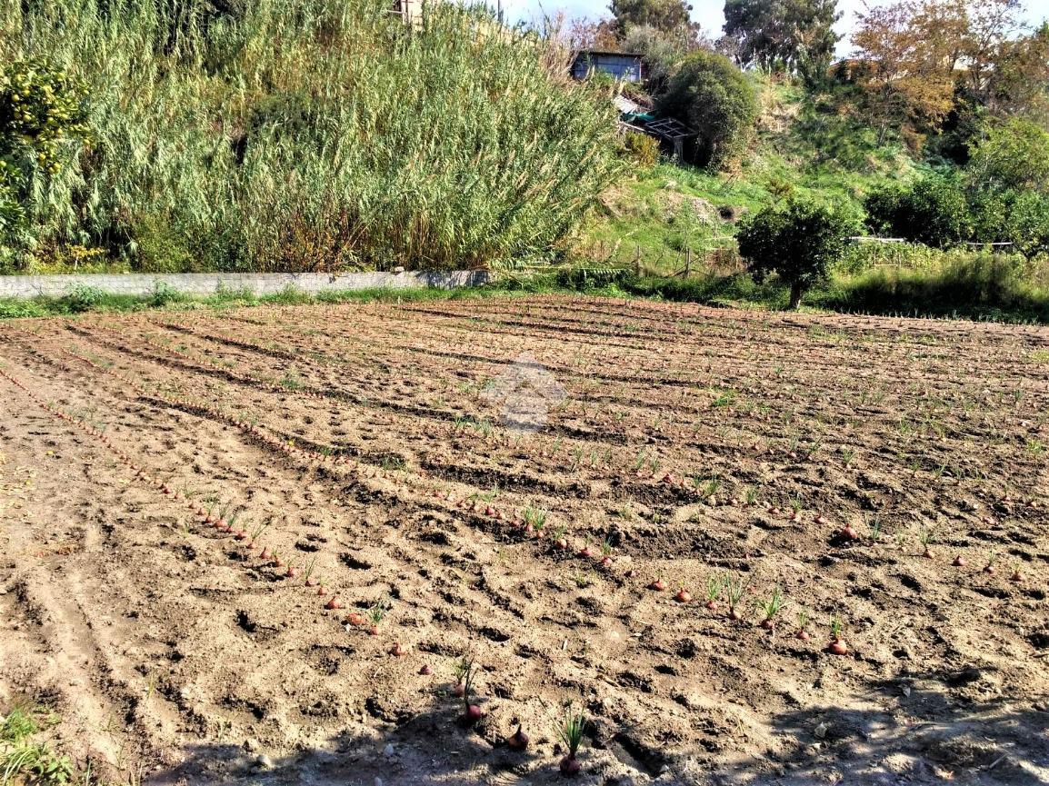 Terreno edificabile in vendita a Amantea