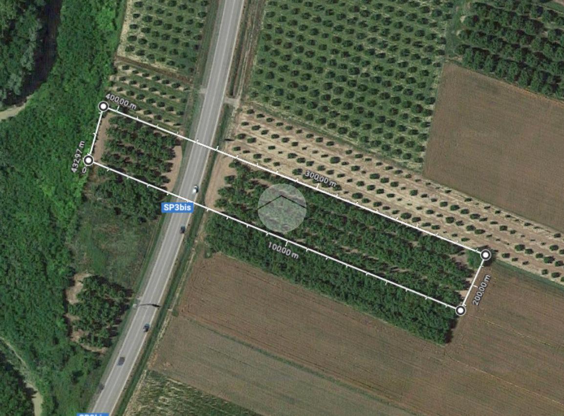 Terreno agricolo in vendita a Alba