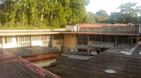 Negozio in affitto a Firenze