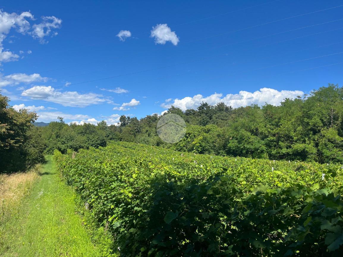 Terreno agricolo in vendita a Caprino Veronese