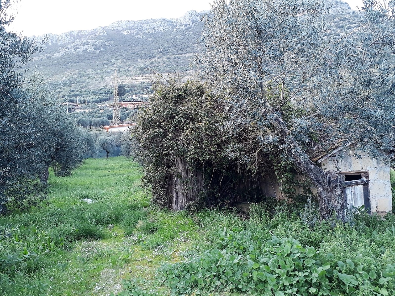 Magazzino in vendita a Terracina