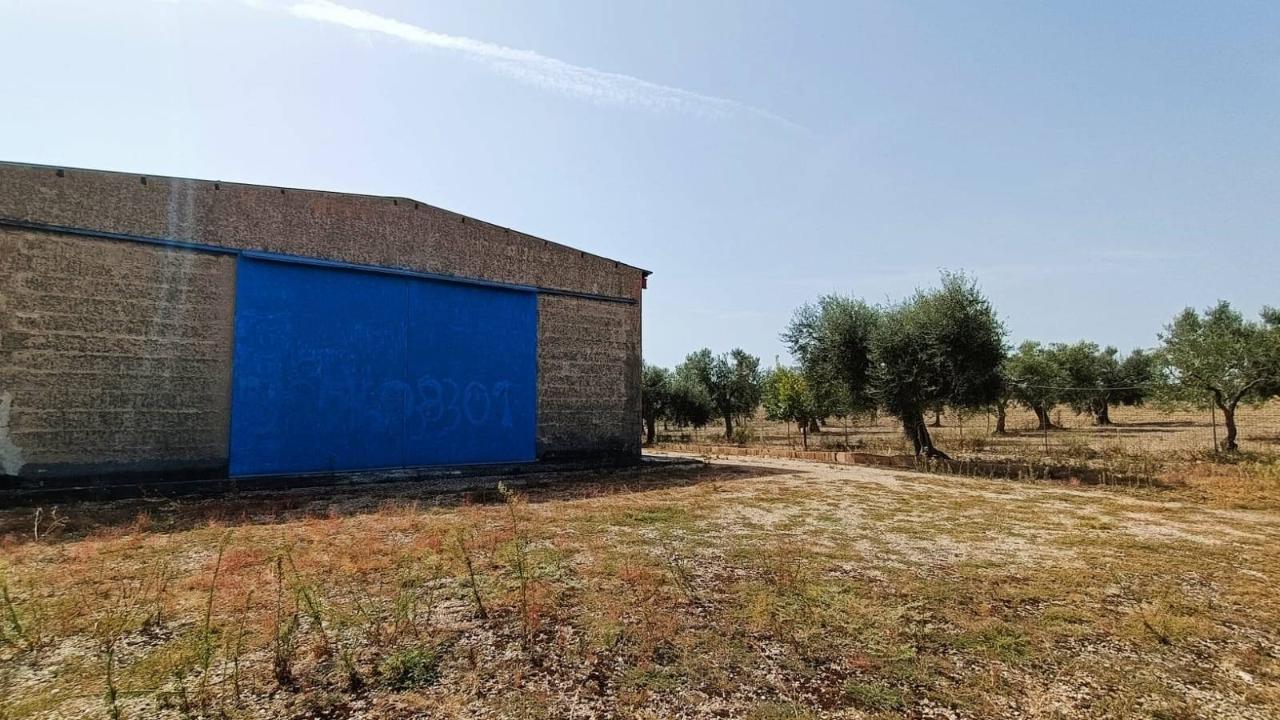 Capannone in vendita a Lucera