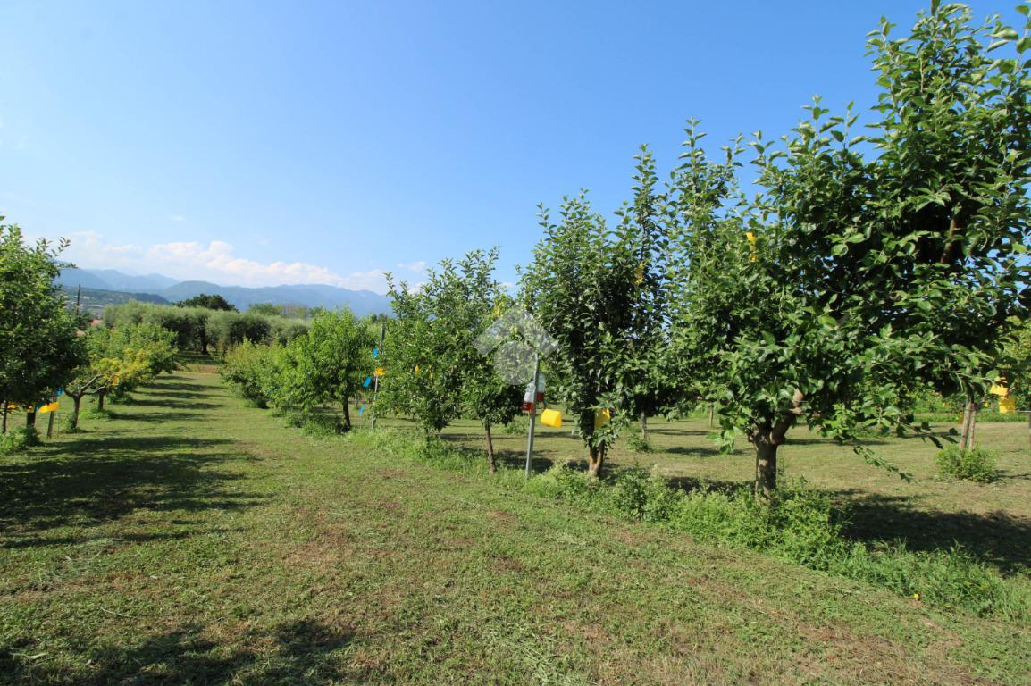 Terreno agricolo in vendita a Manerba Del Garda