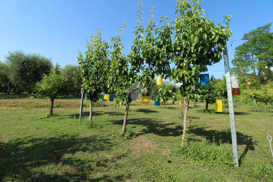 Terreno agricolo in vendita a Manerba Del Garda