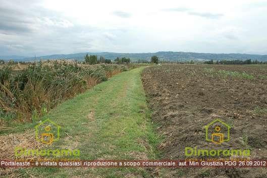 Terreno agricolo in vendita a Assisi