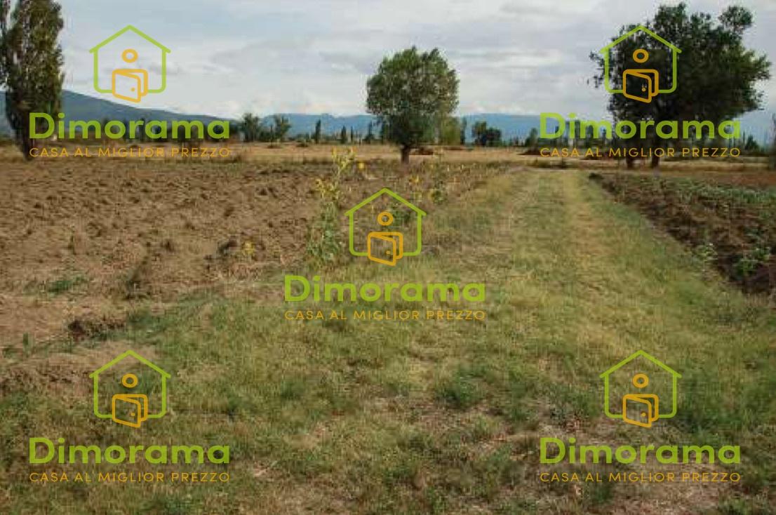 Terreno agricolo in vendita a Assisi