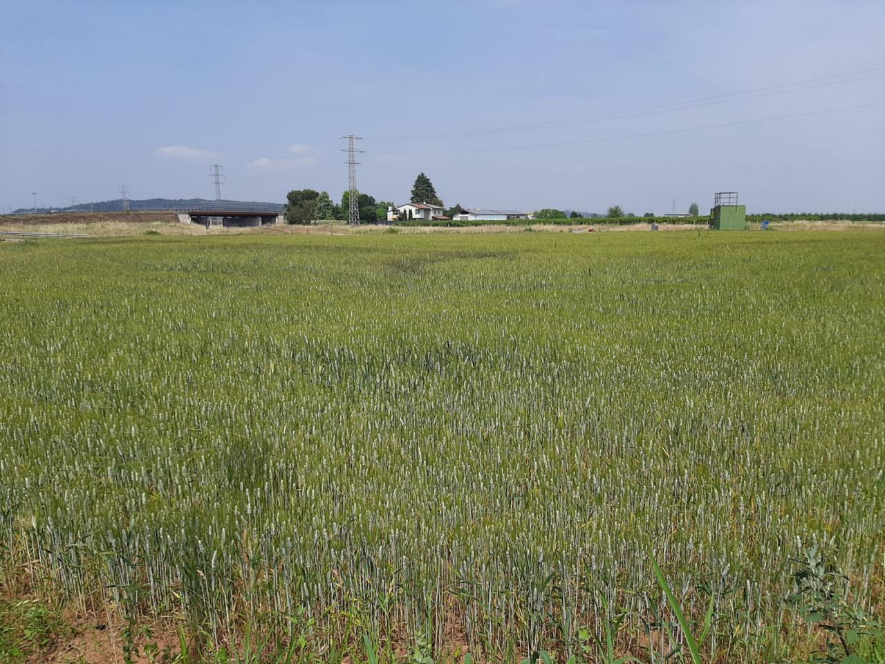 Terreno edificabile residenziale in vendita a Valeggio Sul Mincio