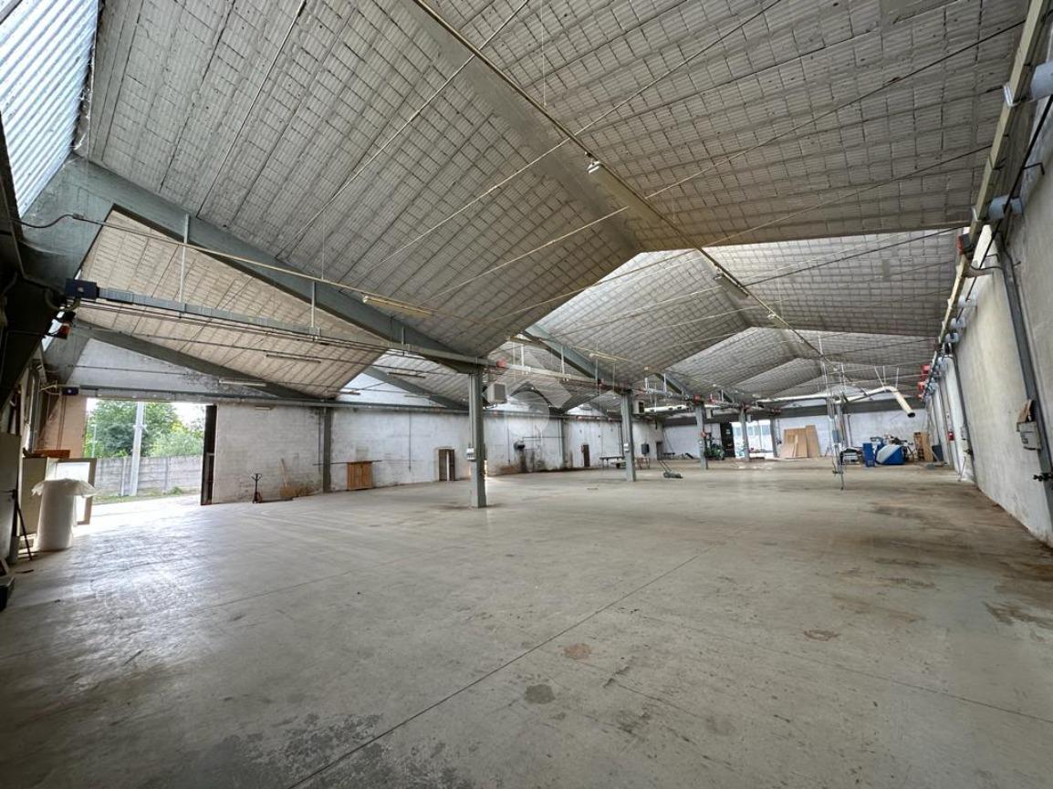 Capannone in affitto a Rosa'