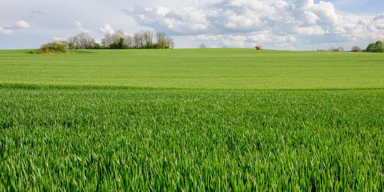 Terreno agricolo in vendita a San Stino di Livenza