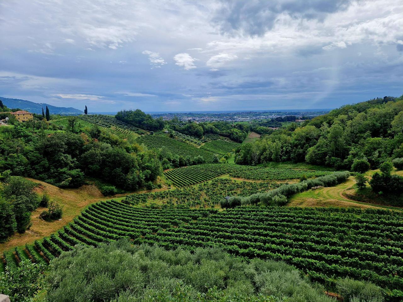 Rustico in vendita a Vittorio Veneto