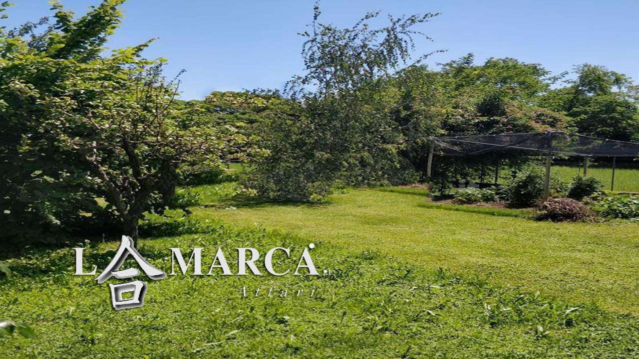 Villa unifamiliare in vendita a Romano D'Ezzelino