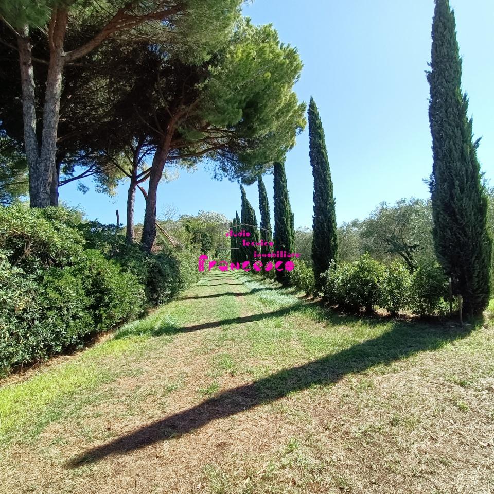 Appartamento in vendita a Rosignano Marittimo