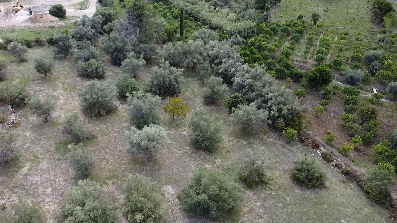 Terreno edificabile residenziale in Contrada Meti, Noto