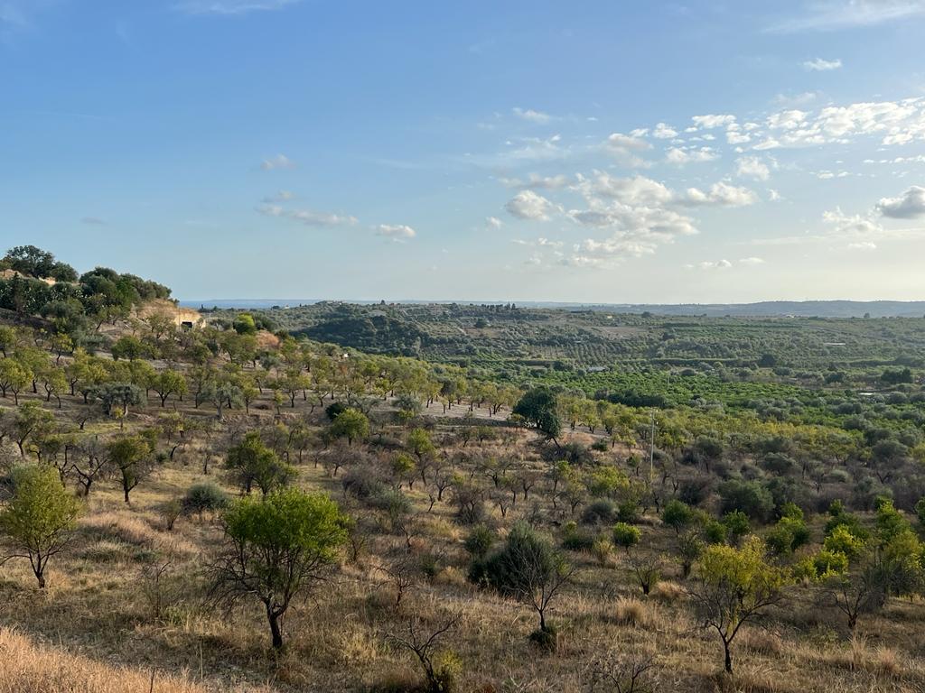 Terreno agricolo in vendita a Noto