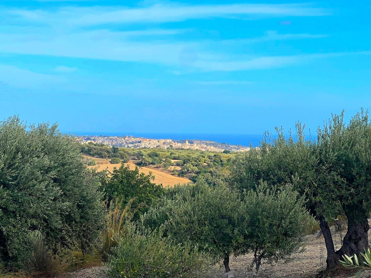 Terreno agricolo in vendita a Noto