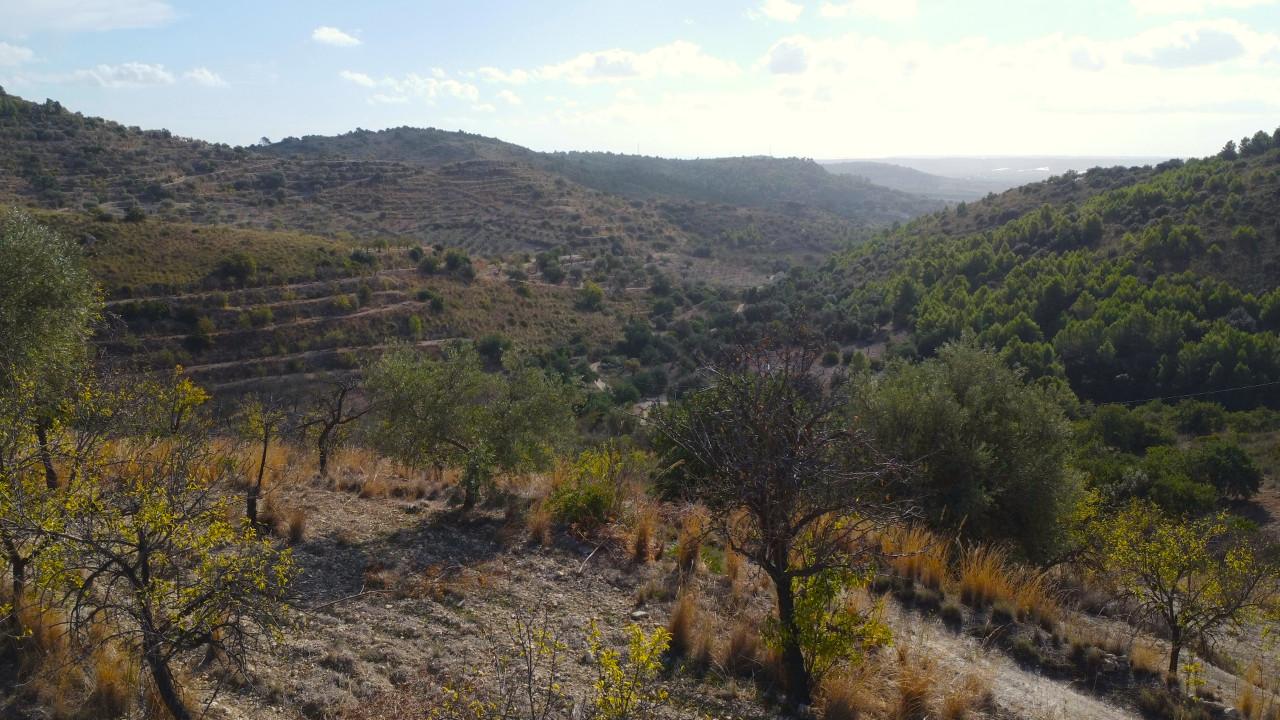 Casale in vendita a Noto