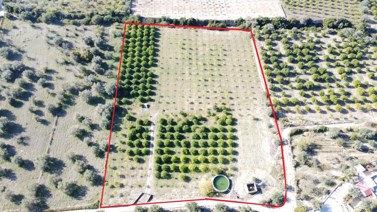 Terreno agricolo in vendita a Avola