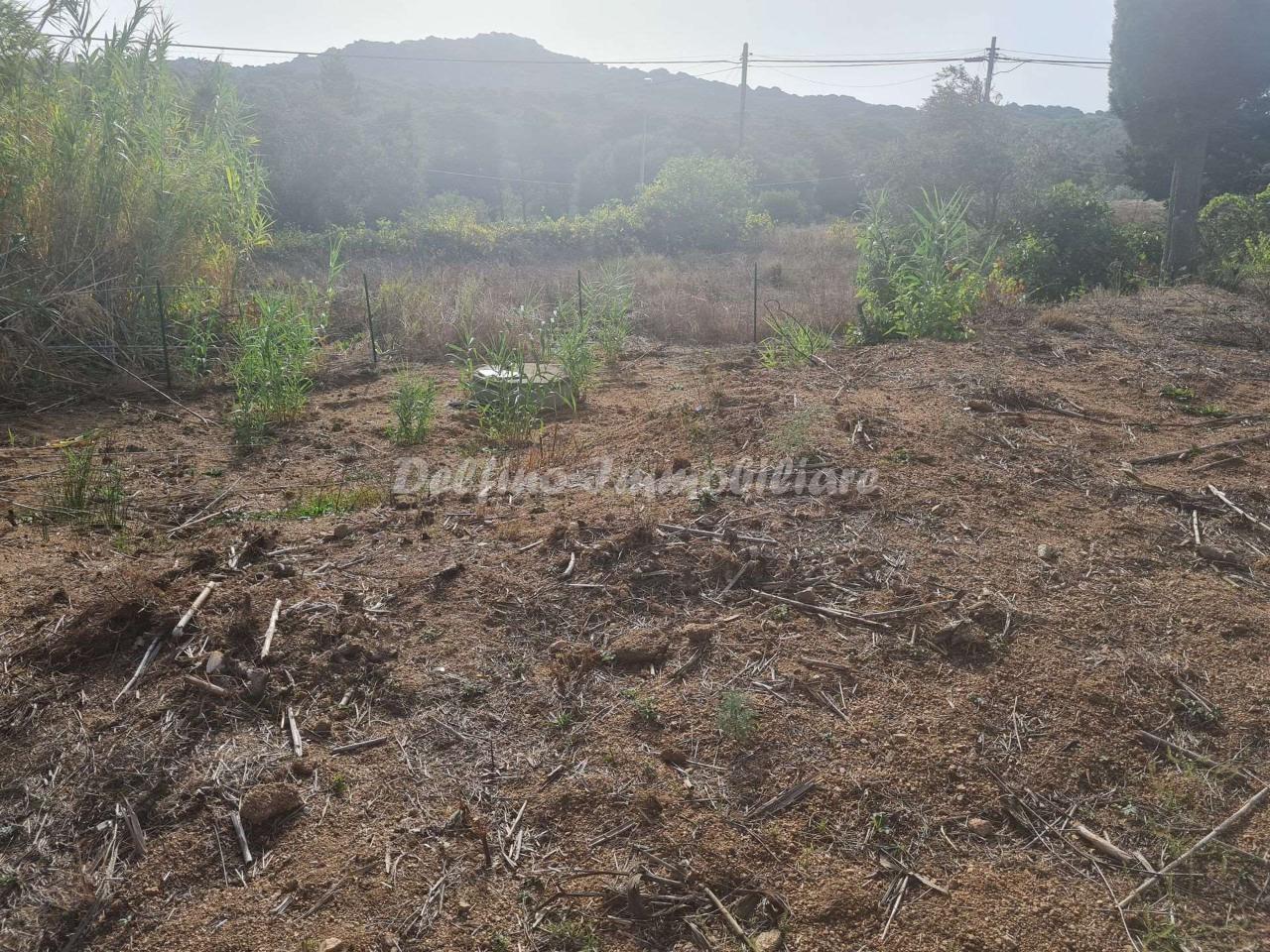 Terreno edificabile in vendita a Luogosanto