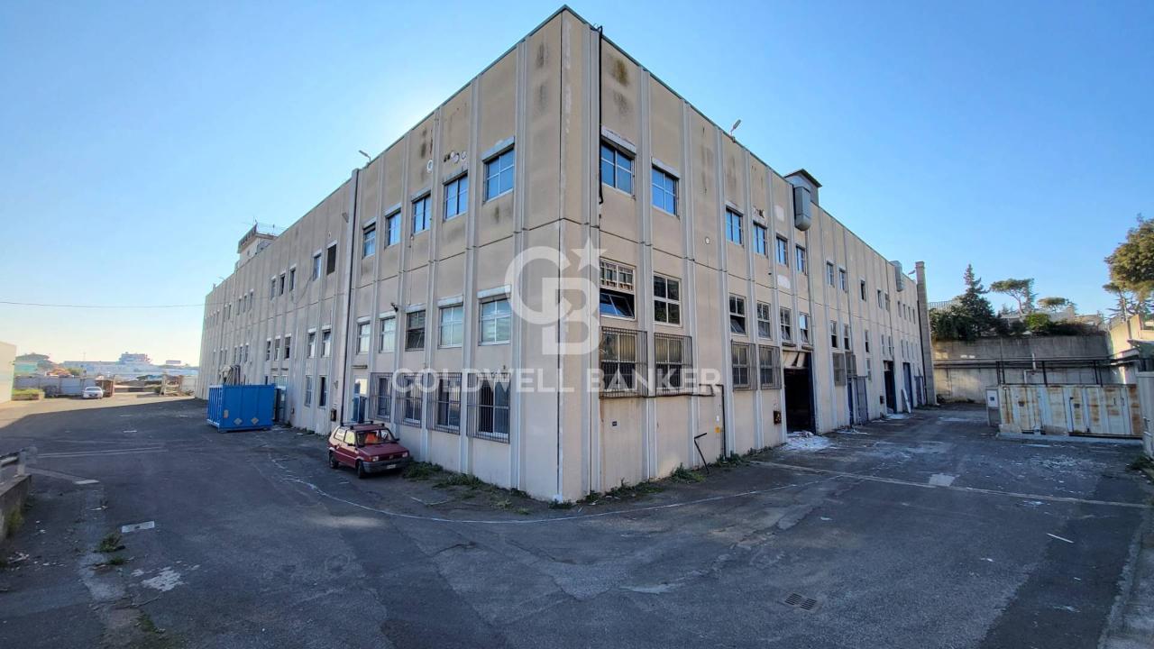 Capannone in affitto a Pomezia