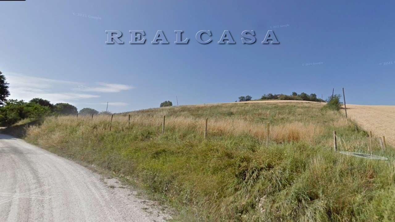 Terreno agricolo in vendita a Polverigi