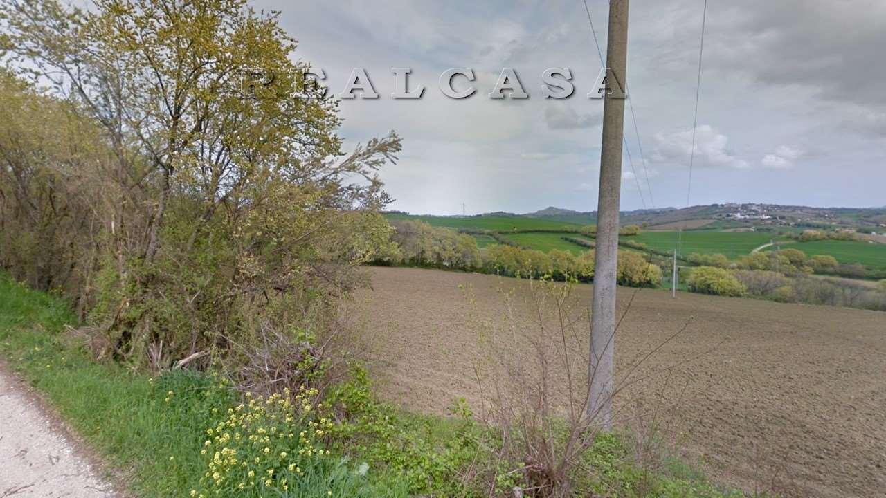 Terreno agricolo in vendita a Polverigi