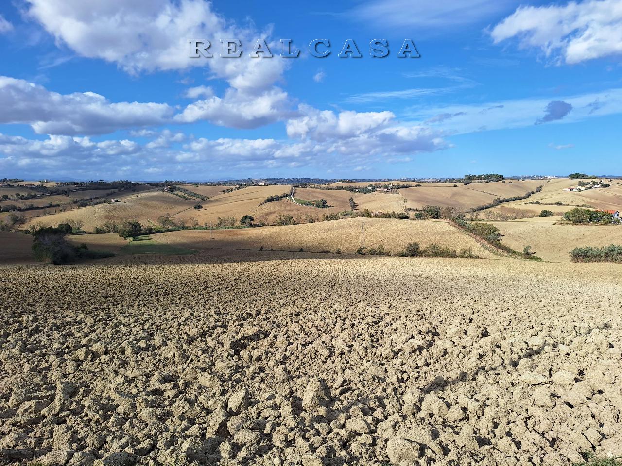 Terreno agricolo in vendita a Polverigi