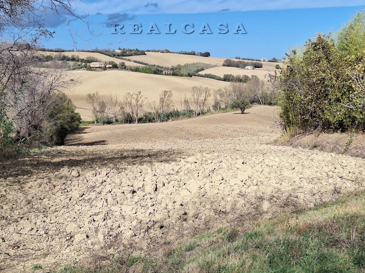 Terreno agricolo in vendita a Polverigi