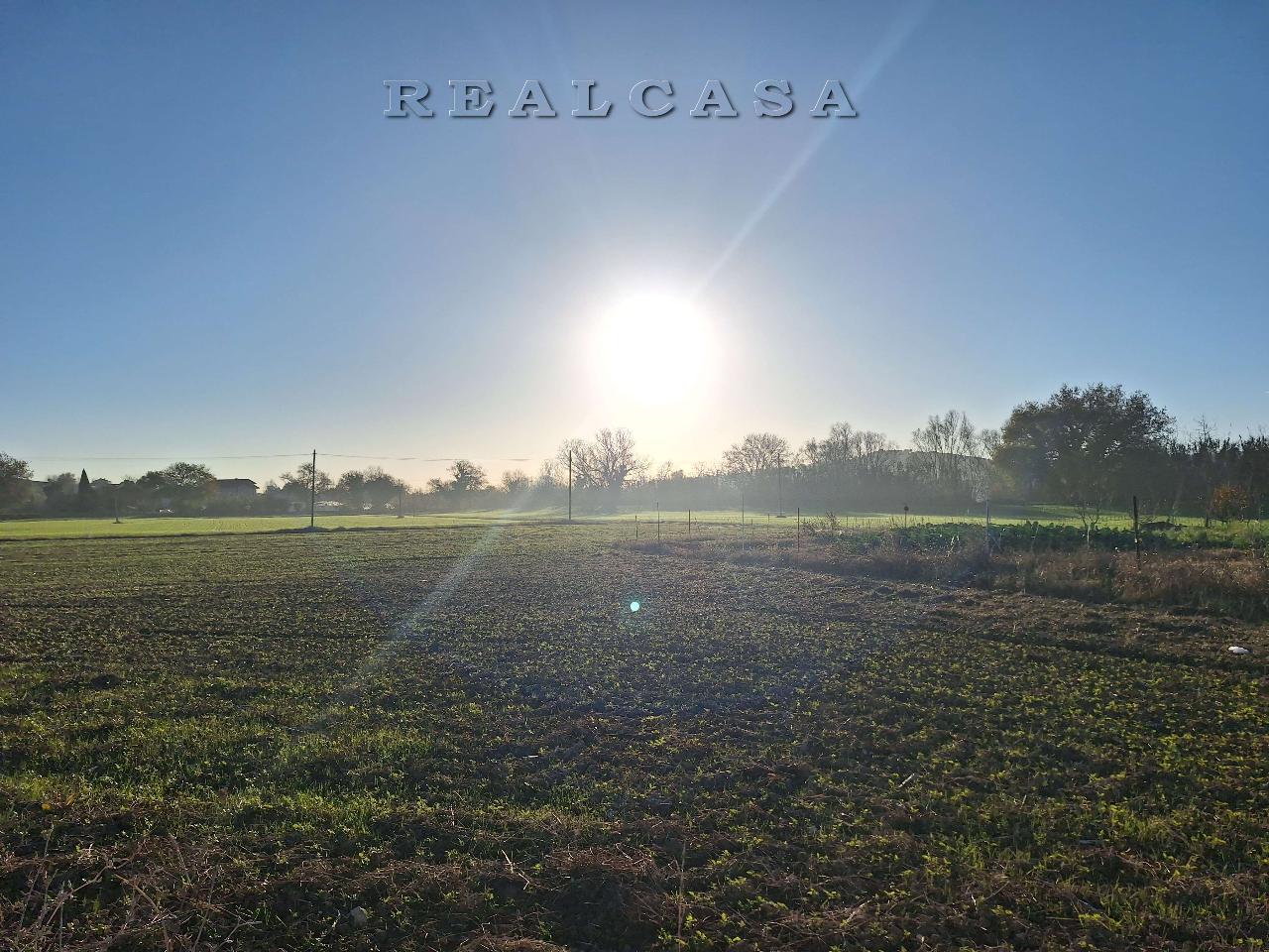 Terreno agricolo in vendita a Osimo