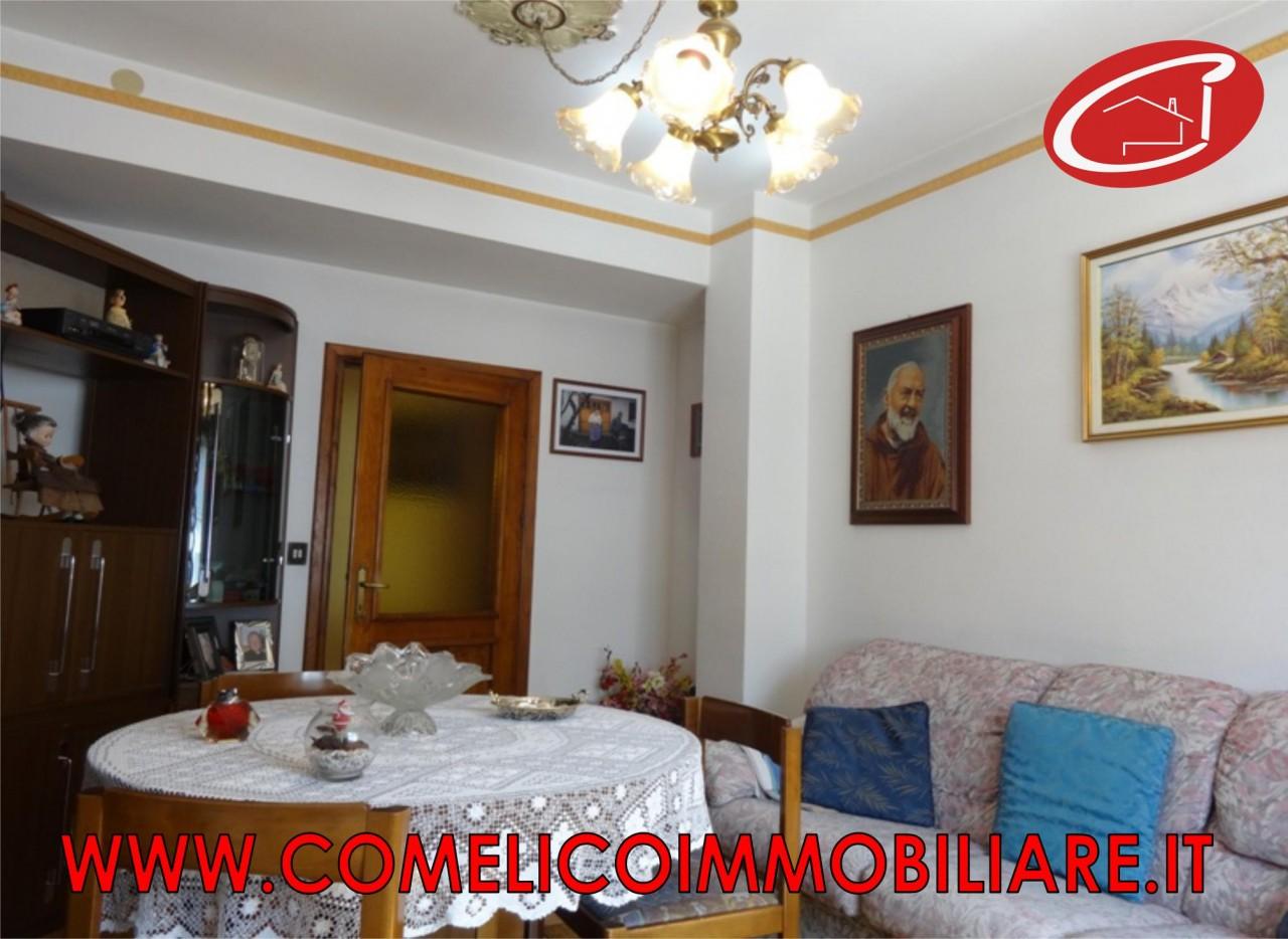 Appartamento in vendita a San Pietro Di Cadore