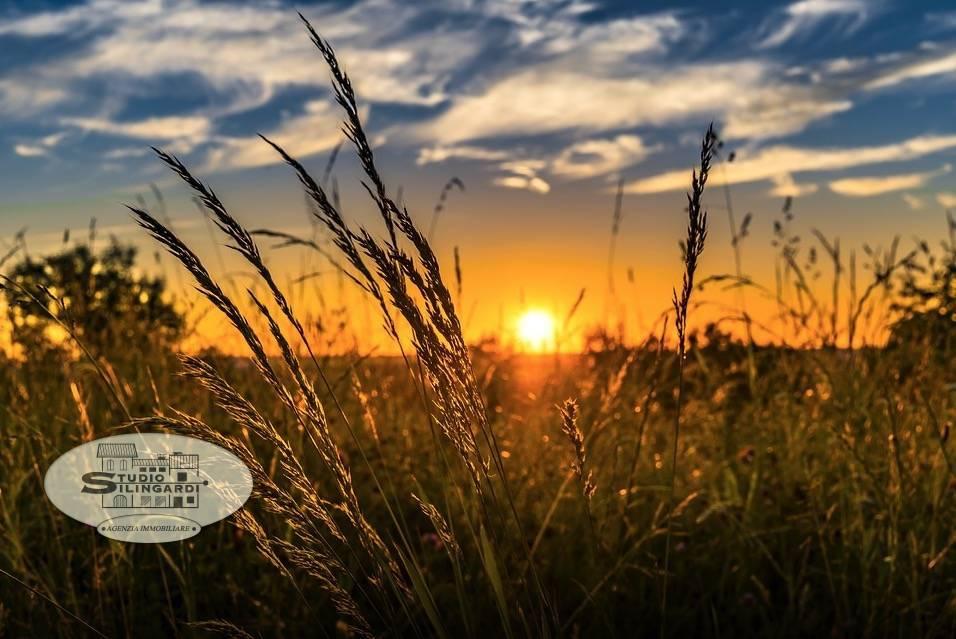 Terreno agricolo in vendita a Formigine