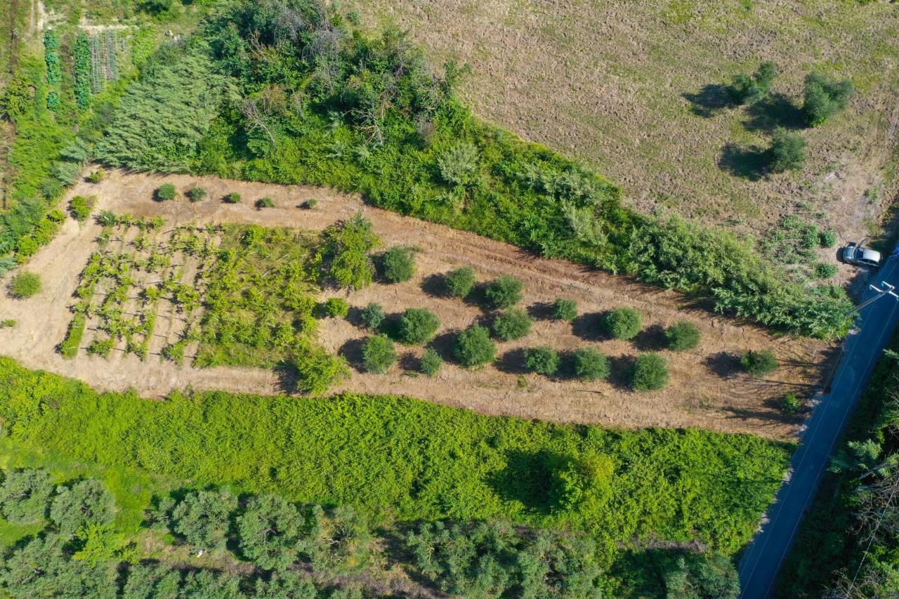 Terreno agricolo in vendita a Monterotondo