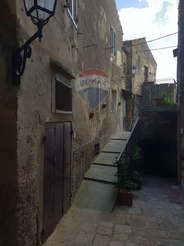 Appartamento in vendita a Capalbio