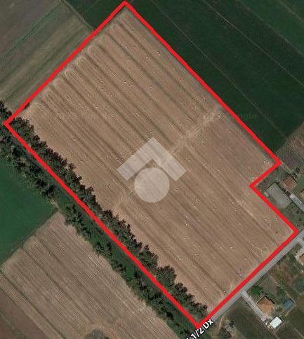 Terreno agricolo in vendita a Pontinia