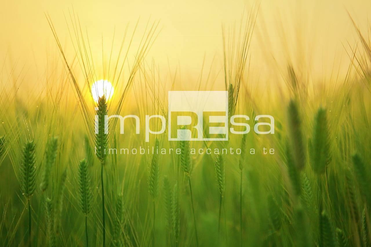 Terreno agricolo in vendita a Paese