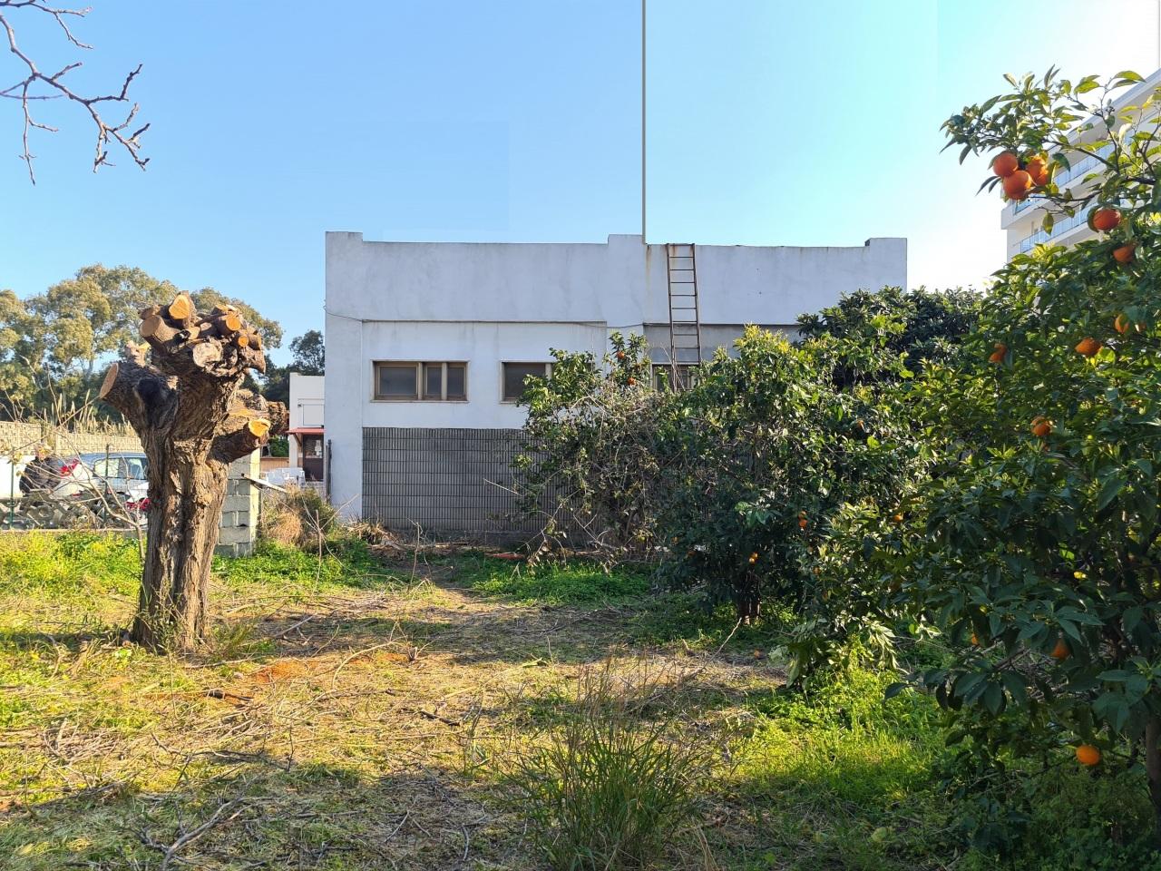 Negozio in affitto a Catanzaro