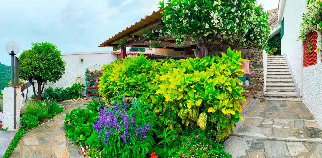 Appartamento in vendita a Vezzi Portio