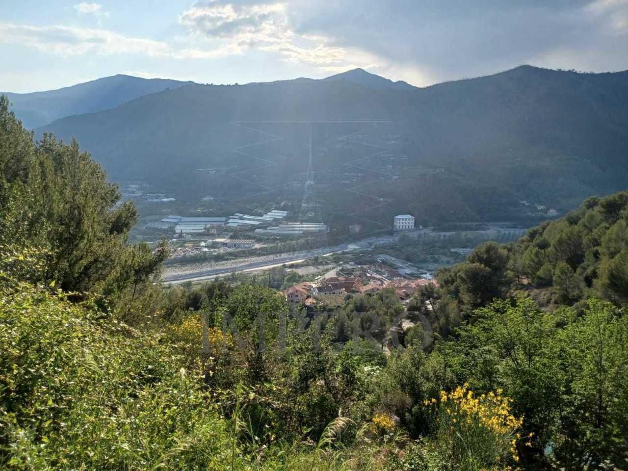 Terreno agricolo in vendita a Ventimiglia