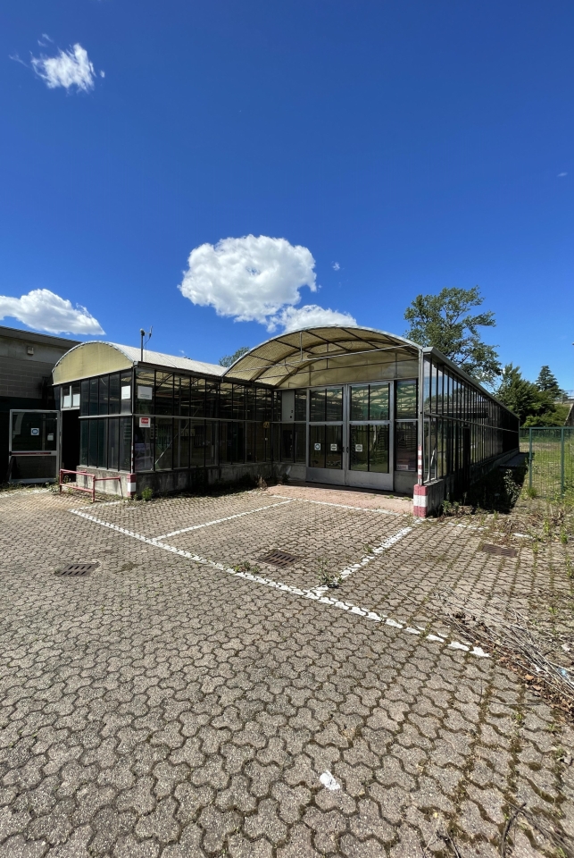 Piante e fiori in vendita a Meda