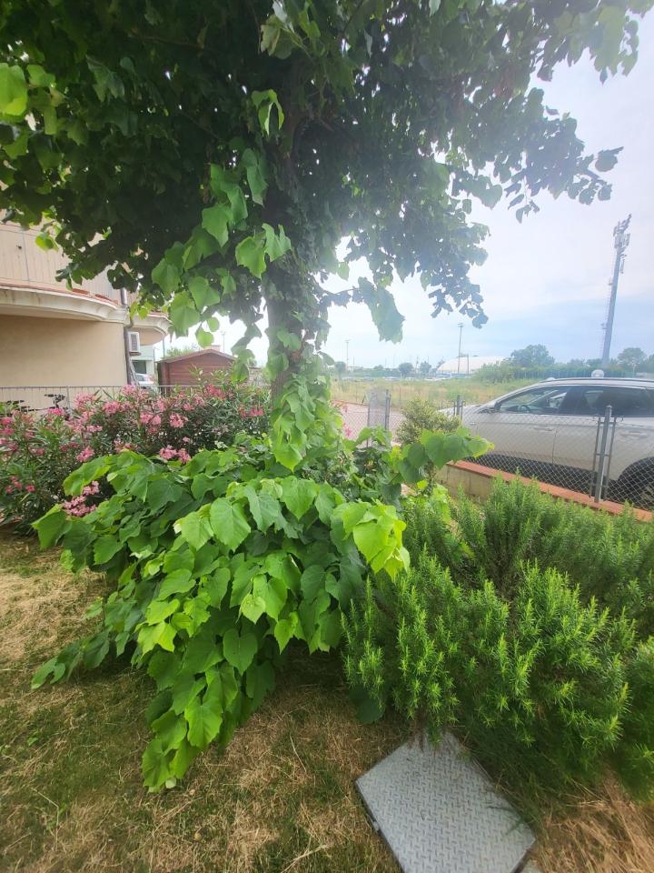 Appartamento in vendita a Bellaria-Igea Marina