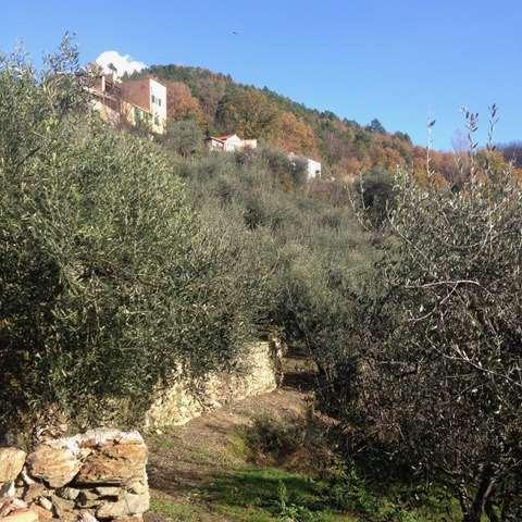 Terreno agricolo in vendita a Orco Feglino