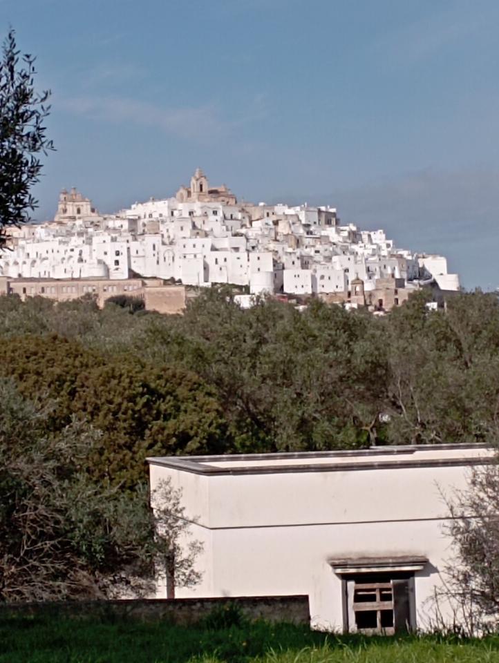 Villa in vendita a Ostuni