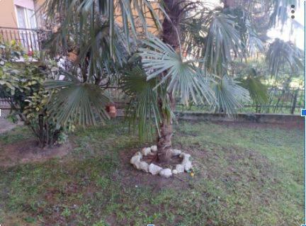 Appartamento in vendita a Paullo