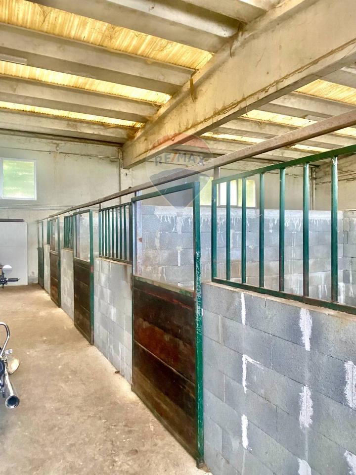 Azienda agricola in vendita a Noceto