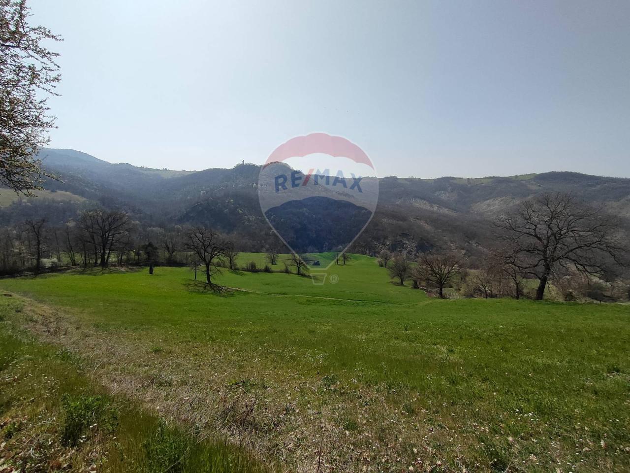 Terreno agricolo in vendita a Pellegrino Parmense