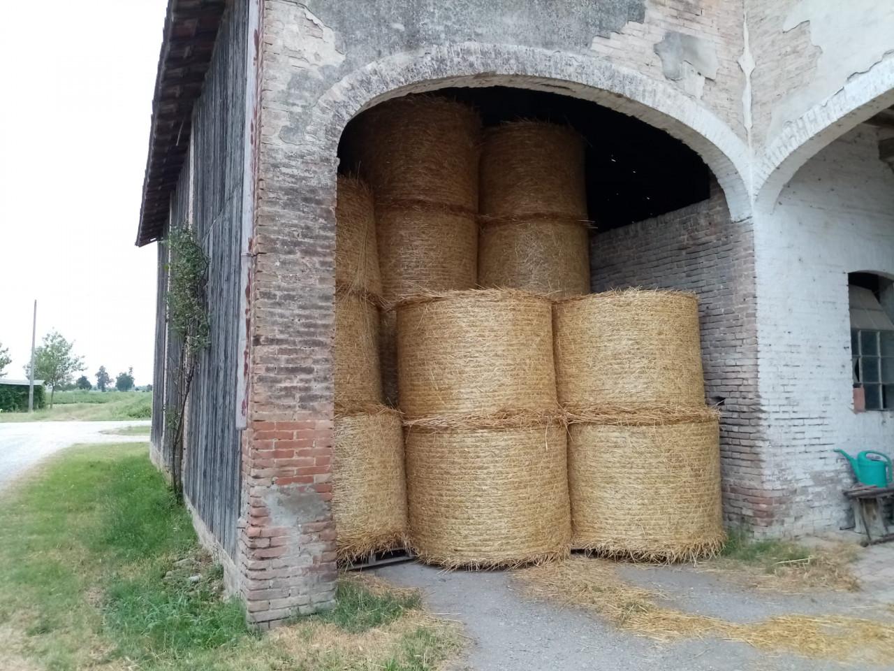 Casa colonica in vendita a Sorbolo Mezzani