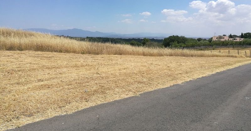 Terreno agricolo in vendita a Riano