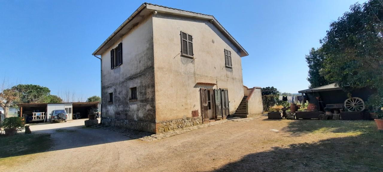 Azienda agricola in vendita a Magliano In Toscana